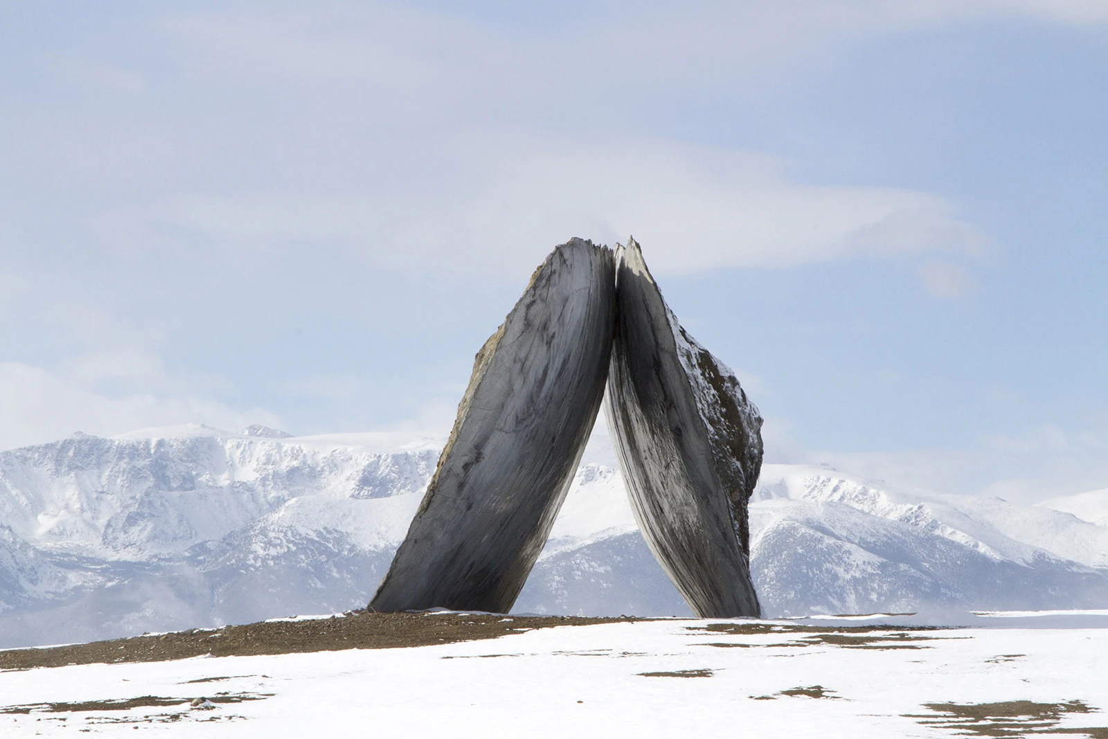 Structures of Landscape - Cosentino Indonesia