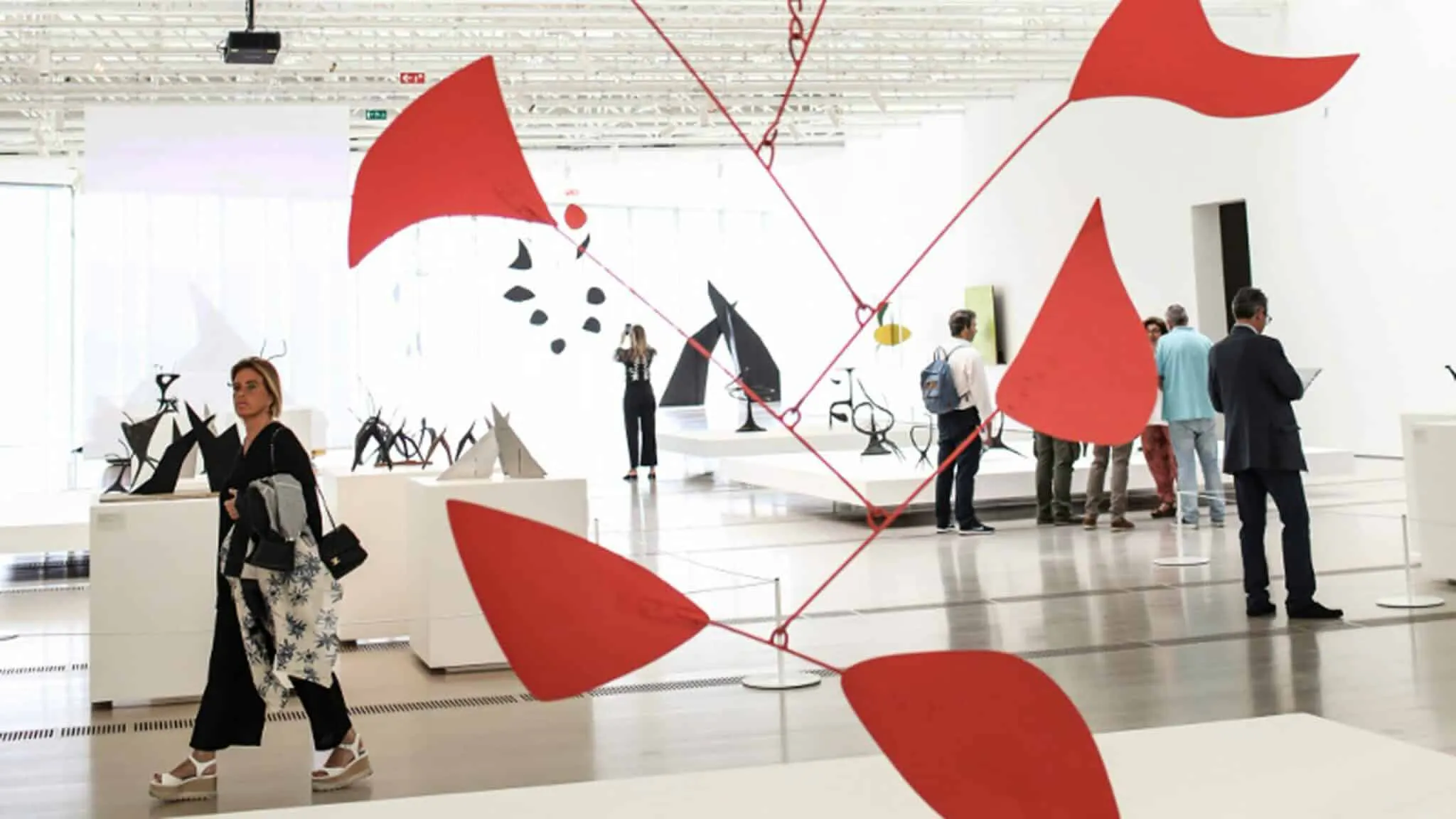 Calder Stories - Cosentino Ireland