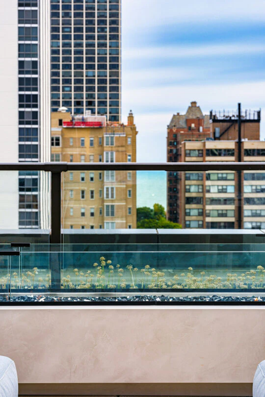 Rebel House creates an urban nature escape with DKTN - Cosentino ...