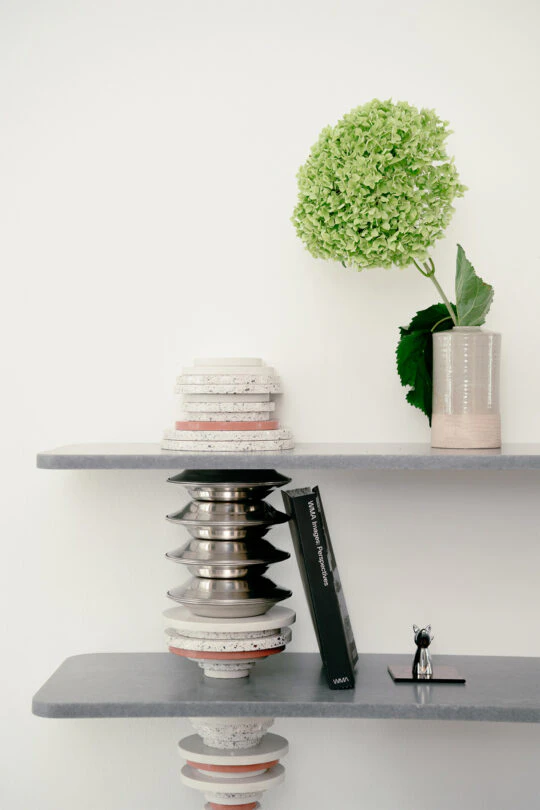 Artist Red Hong Yi creates a unique shelf with the new Earthic surface