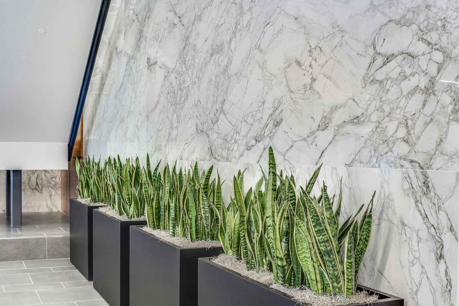 Nippon Express - Cosentino Brazil