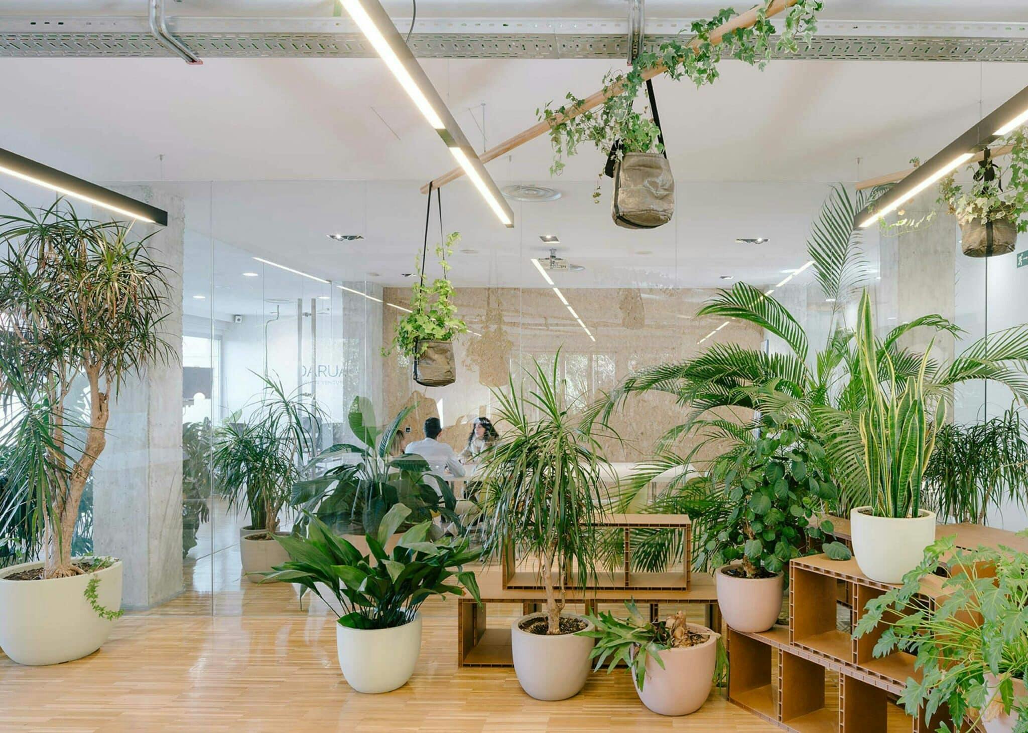 Daruan VC - Cosentino Turkey