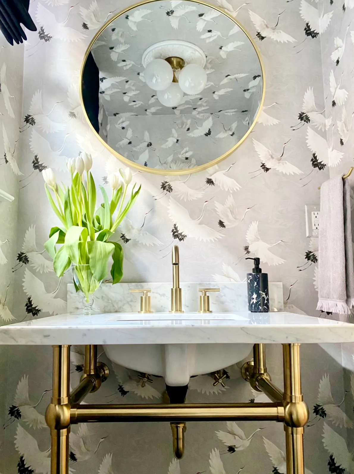 Kelly Collier-Clark - Cosentino USA