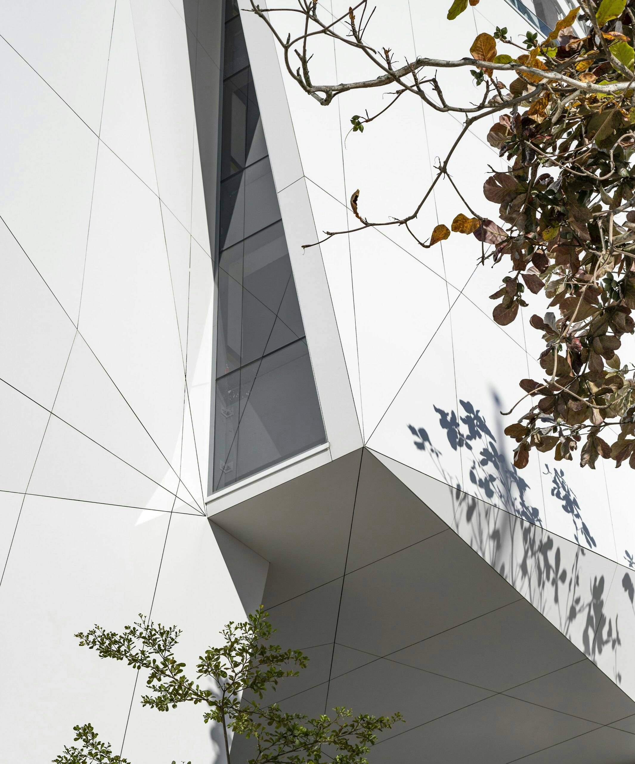 Discover Cosentino and its materials - Cosentino